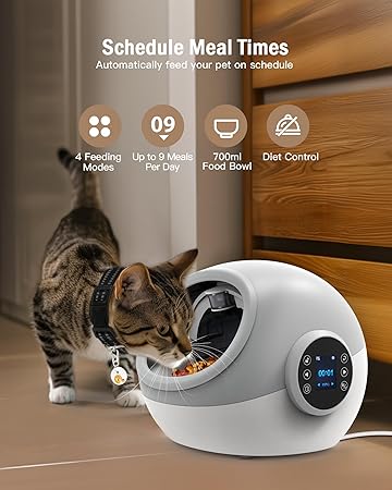 Distributeur automatique Sphere Microchip Pet Feeder – Pour chats et p ...