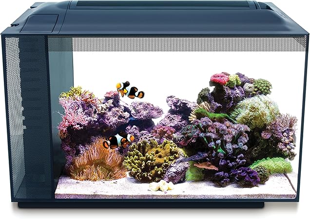 Aquarium Fluval SEA EVO 13.5 gallons – Éclairage LED récifal 14000 K ...